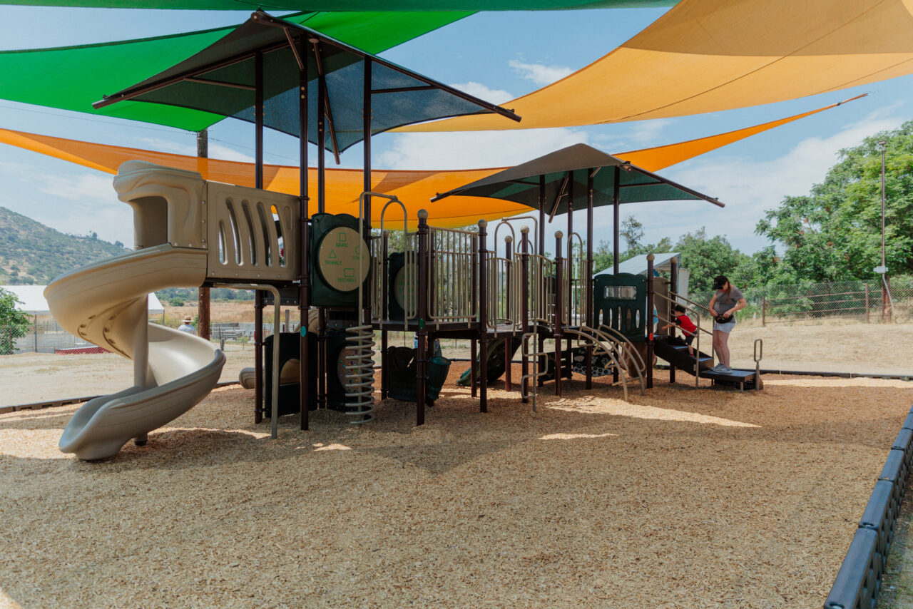 Attractions - Oma's Family Farm