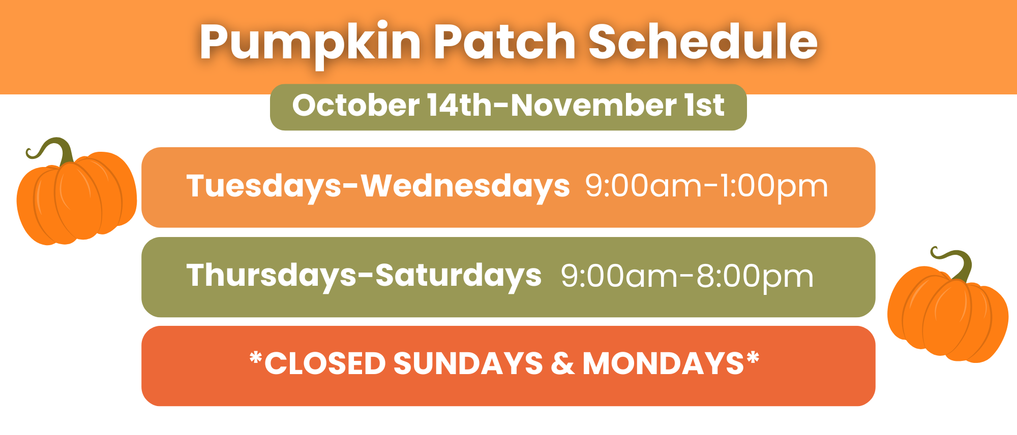 Pumpkin Patch - Oma's Family Farm